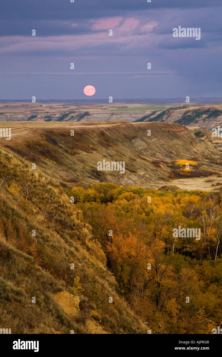 Moonrise in the badlands of Alberta, Canada Stock Photo - Alamy