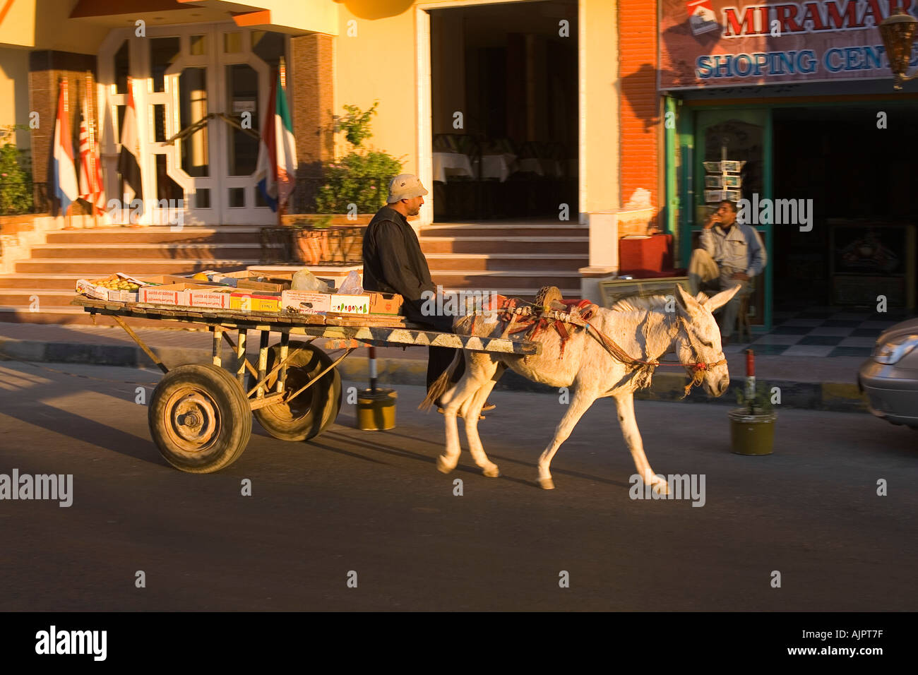 No donkey cart hi-res stock photography and images - Alamy