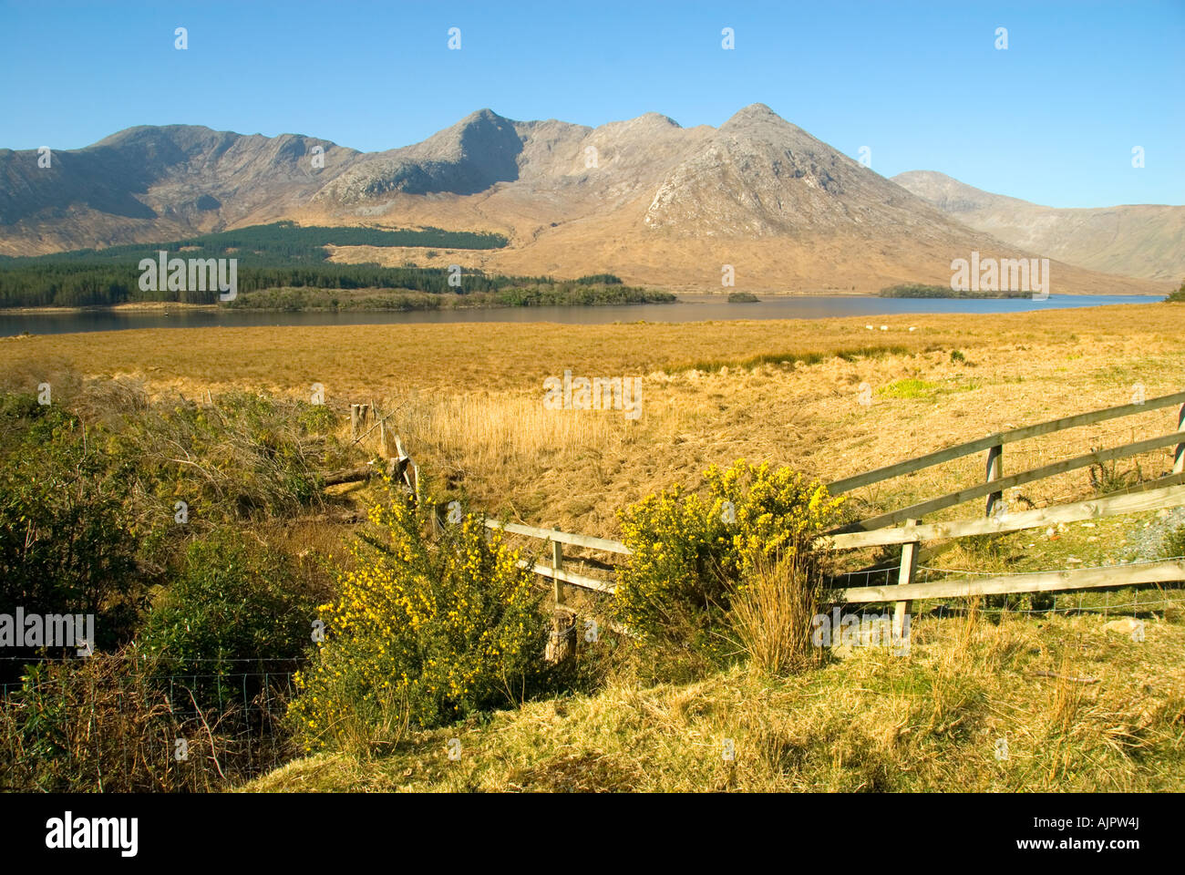 Bencorr and the eastern peaks of the Twelve Bens of Connemara over ...