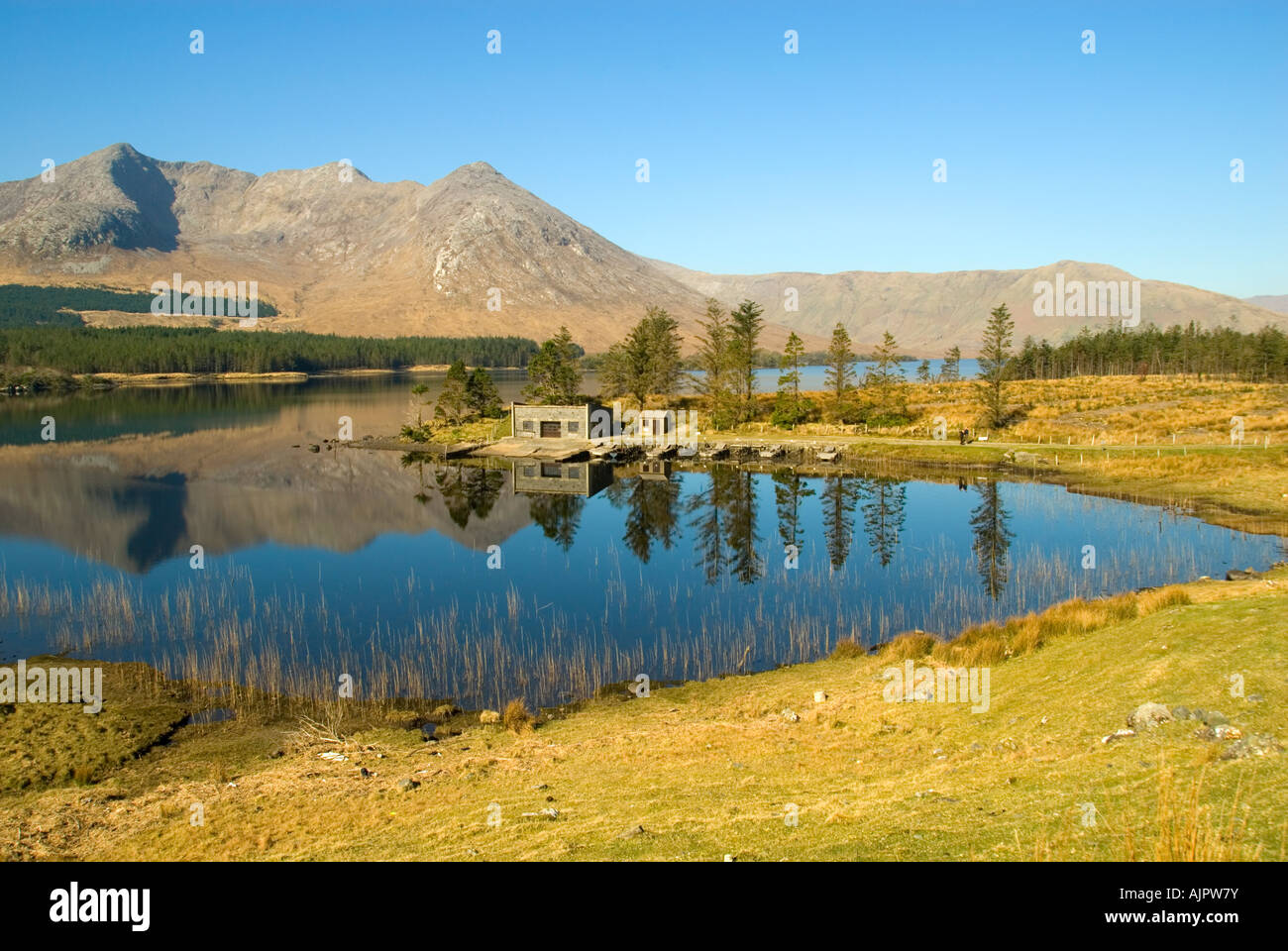 Bencorr and the eastern peaks of the Twelve Bens of Connemara over ...