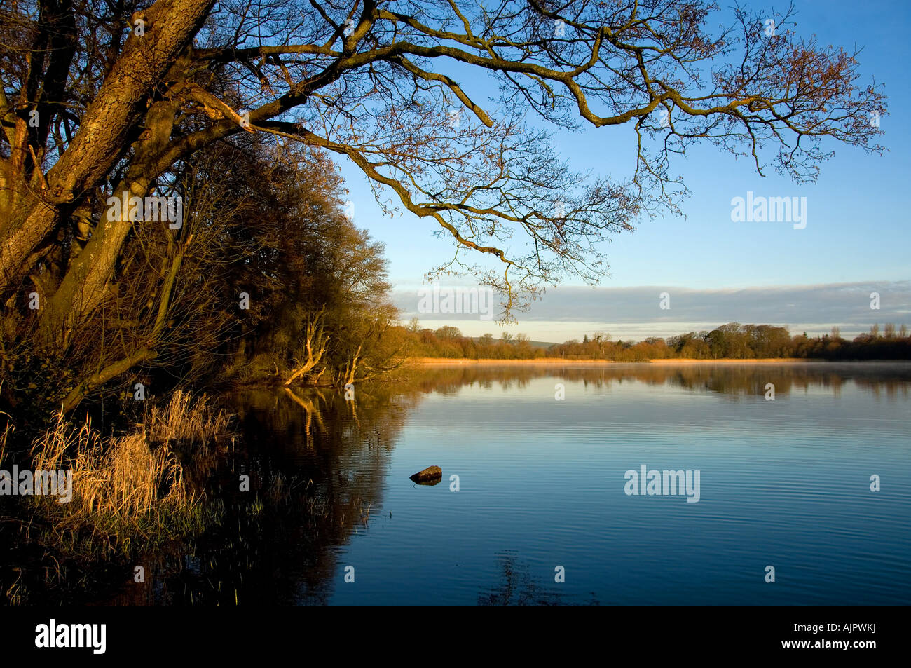 loch ken, galloway, scotland, uk Stock Photo - Alamy