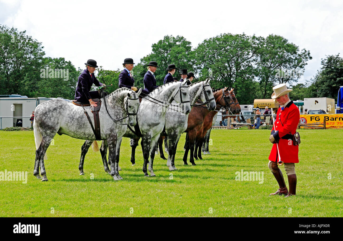 0022 Hunters Kent Show Detling Kent England Stock Photo - Alamy