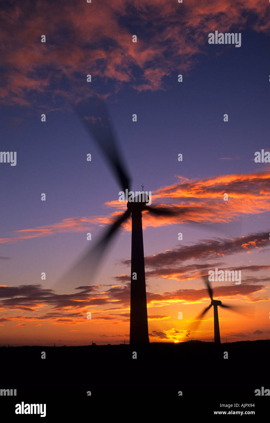 Wind farm Anglesey Wales UK Stock Photo - Alamy
