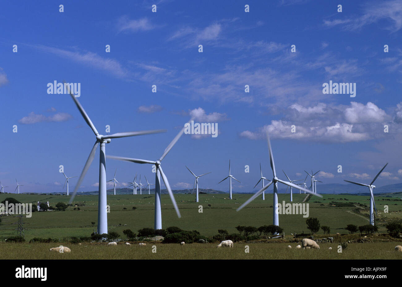 Wind farm Anglesey Wales UK Stock Photo - Alamy