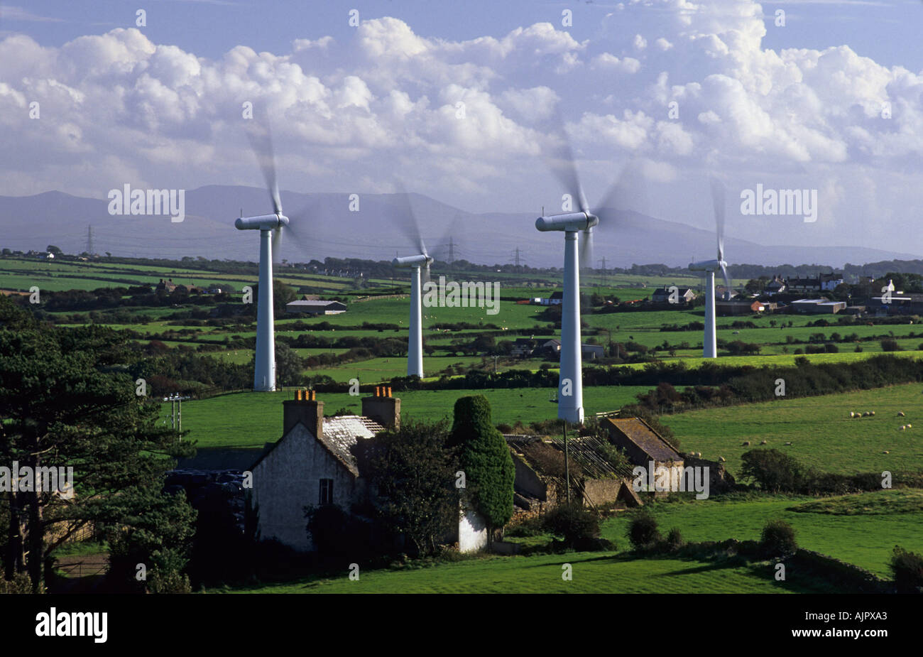 Wind farm Anglesey Wales UK Stock Photo - Alamy