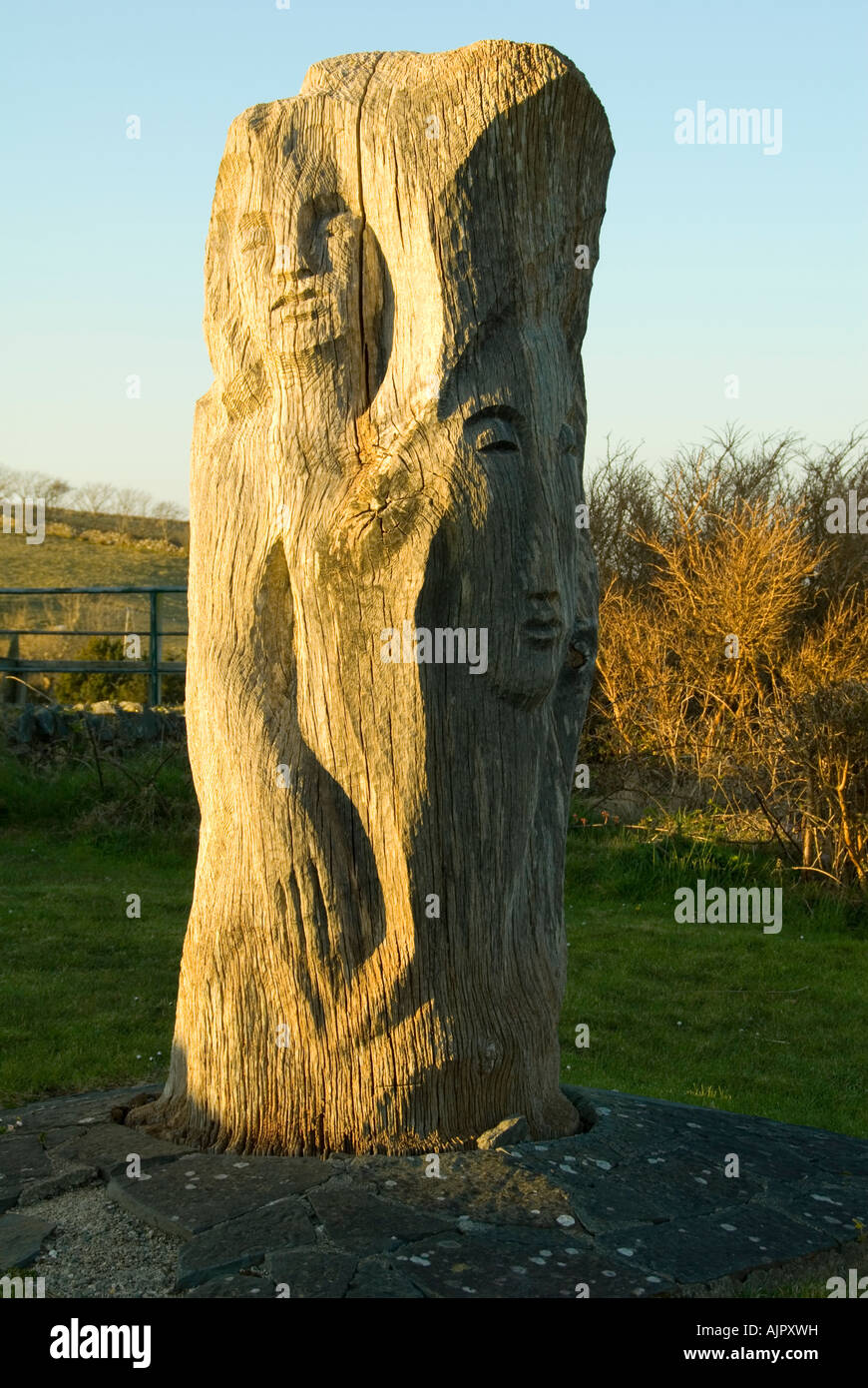 Wood carving on a tree stump, County Galway, Ireland Stock Photo - Alamy