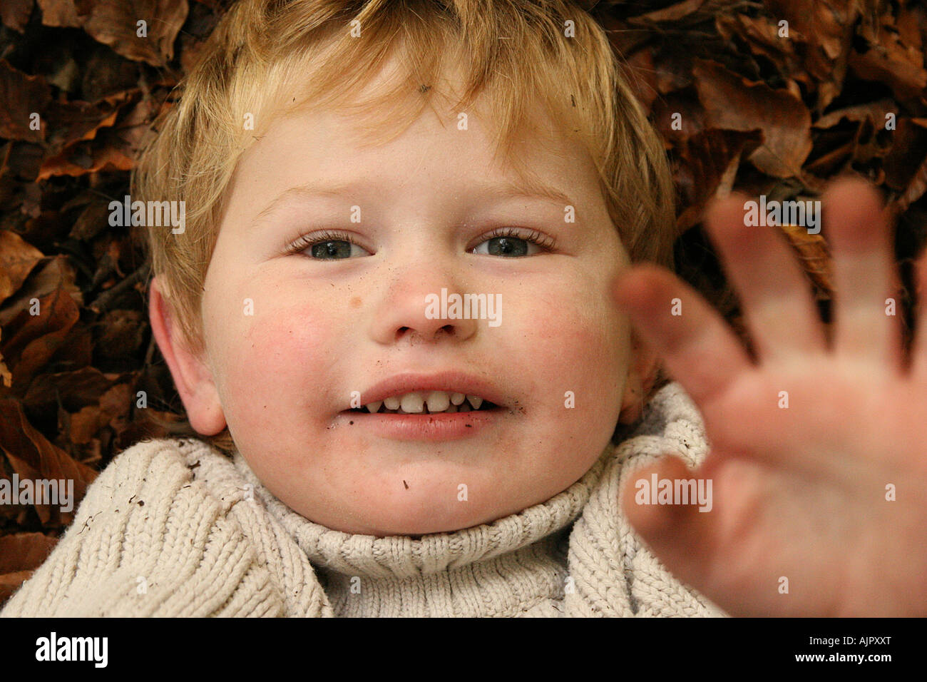 Child reaching leaves hi-res stock photography and images - Alamy