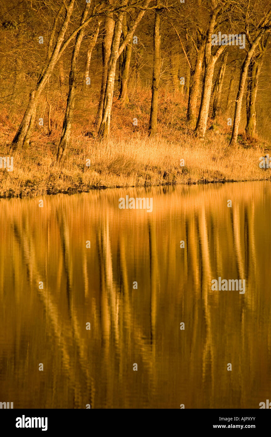 loch ken, galloway, scotland, uk Stock Photo - Alamy