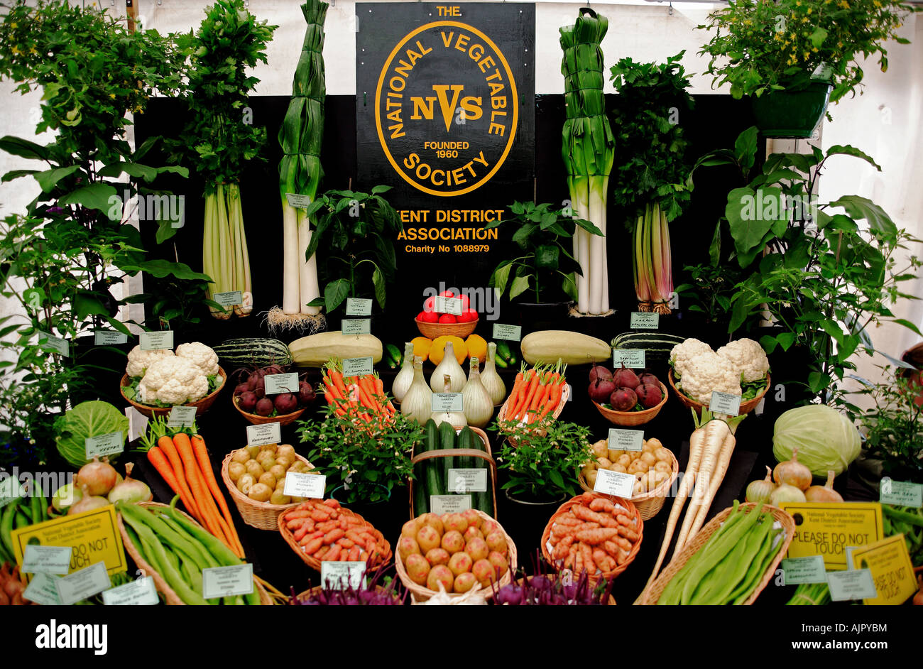National vegetable society show hi-res stock photography and images - Alamy