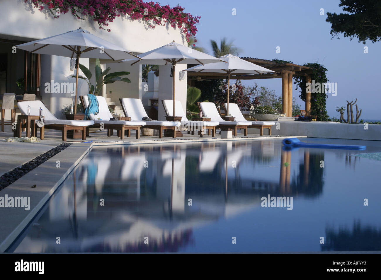 Luxury swimming pool in the tropics Stock Photo - Alamy
