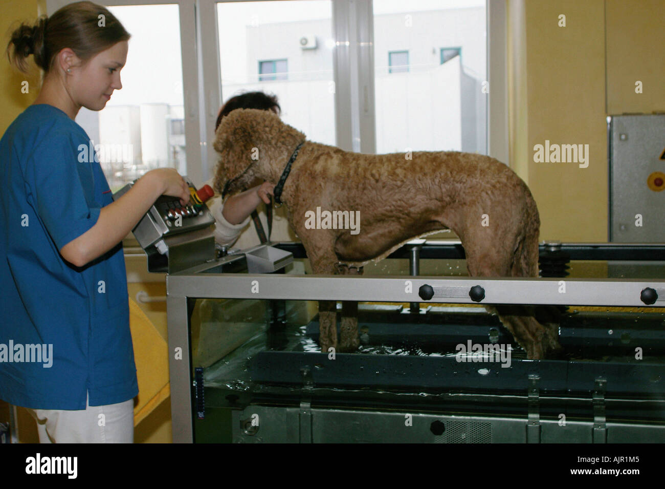Therapeutic pet hi-res stock photography and images - Alamy