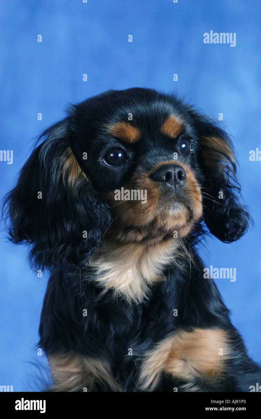 Month black and hi-res stock photography and images - Alamy