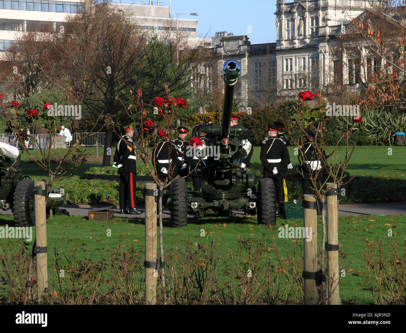 red roses rememberance sunday gun salute city of cardiff capital of ...