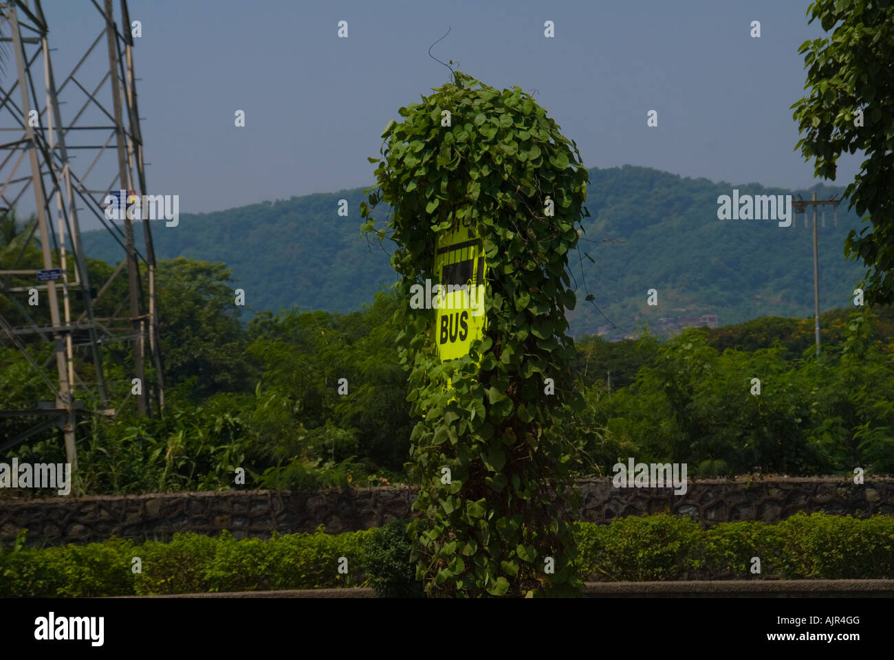 Overgrown bus stop sign hi-res stock photography and images - Alamy