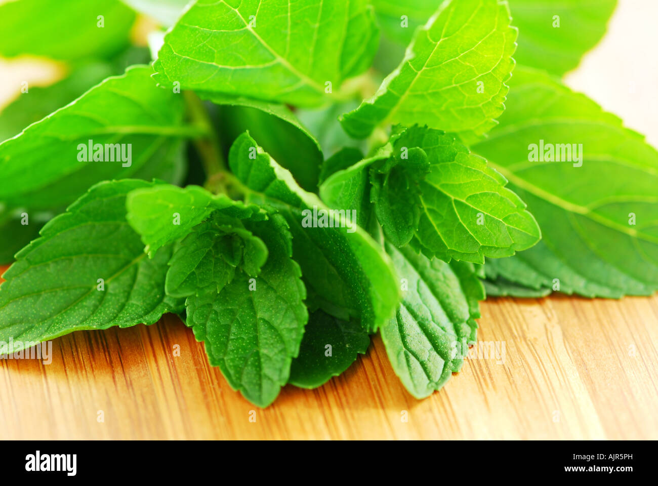 Fresh mint sprigs on wooden cutting board Stock Photo - Alamy