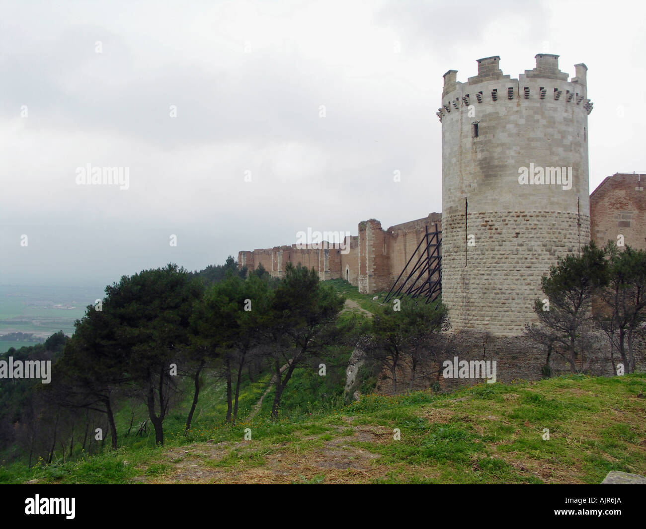 Frederick i hohenstaufen hi-res stock photography and images - Alamy