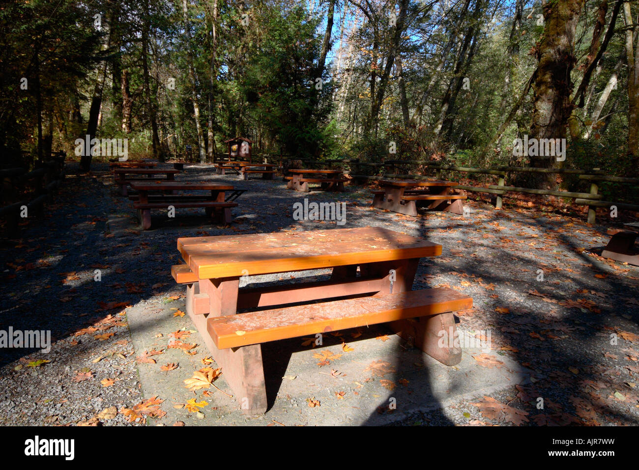 pinic tables in park Stock Photo - Alamy