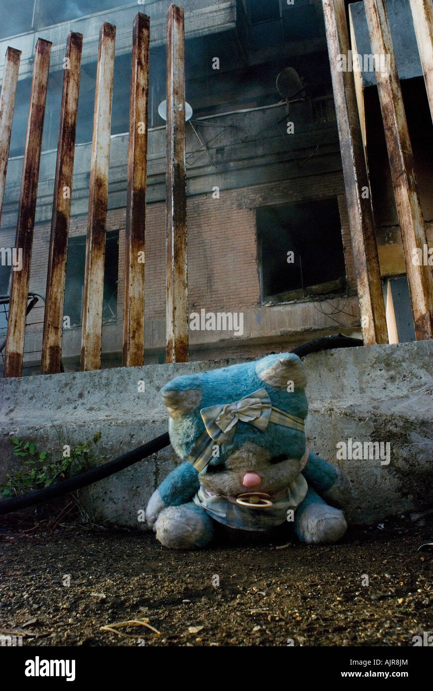 burned teddy bear in front of a burned building Stock Photo - Alamy