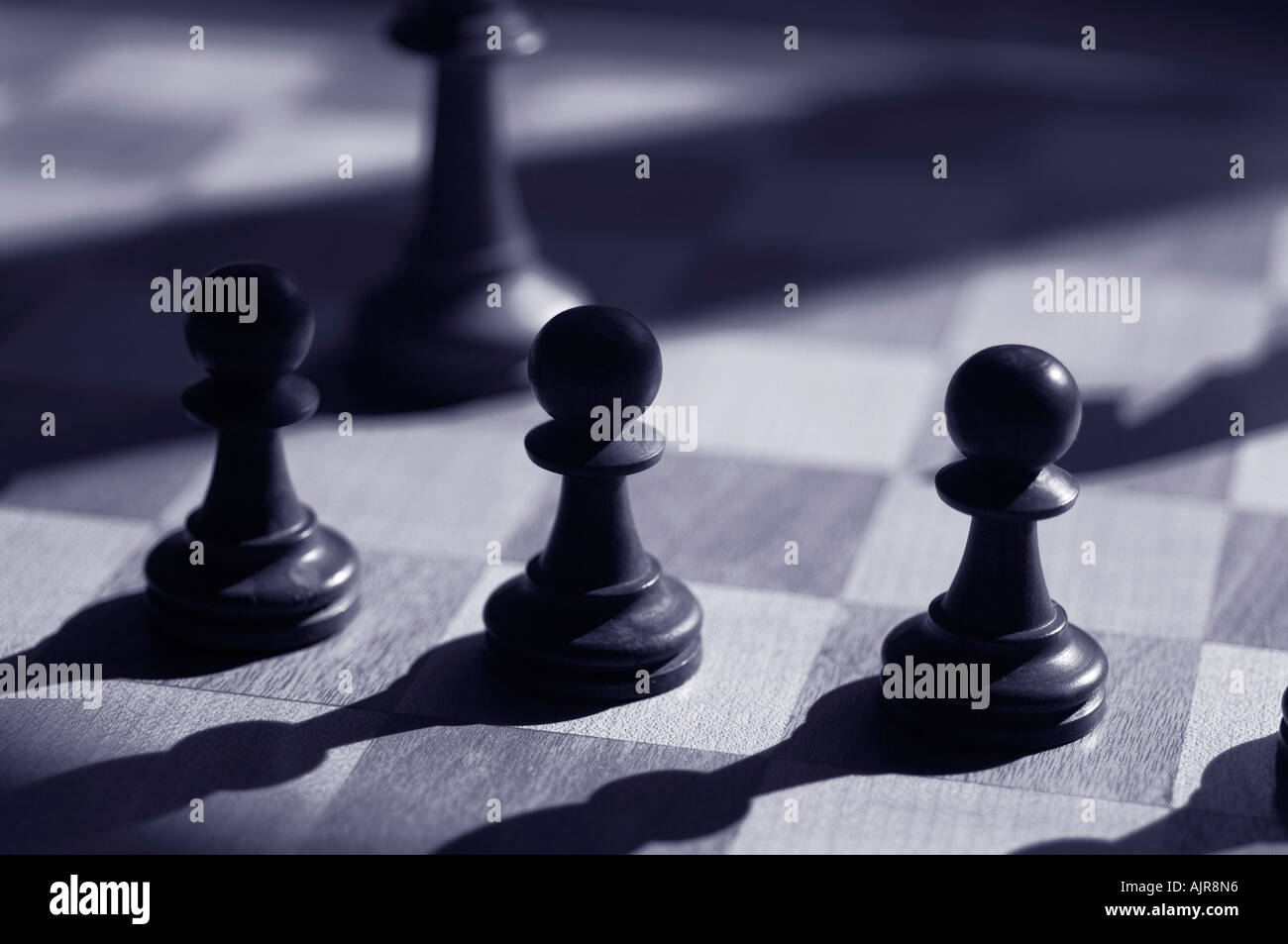 chess pieces with shadows on a chess board Stock Photo - Alamy