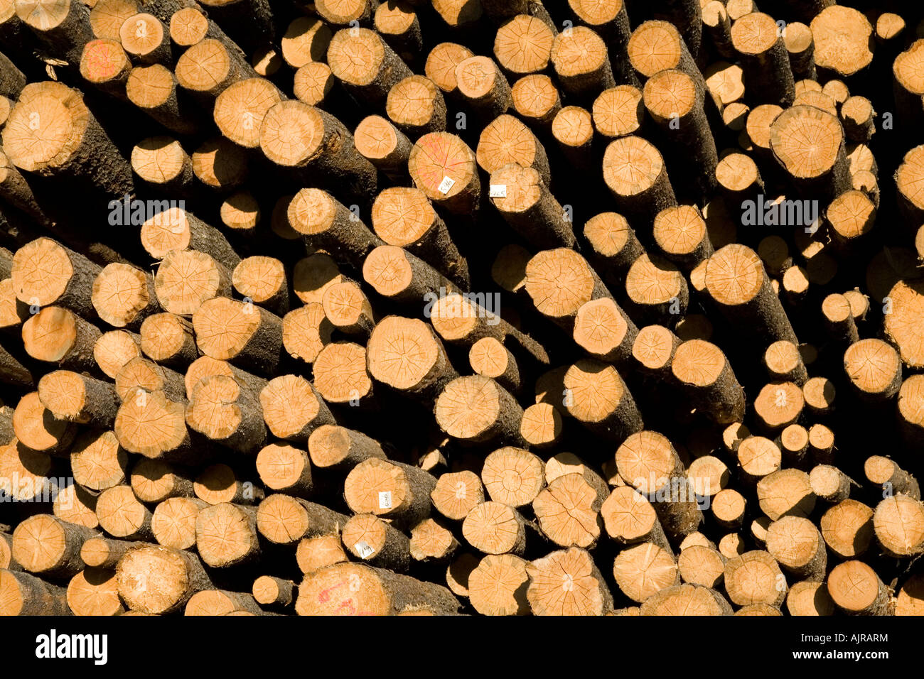 Canadian timber industry hi-res stock photography and images - Alamy