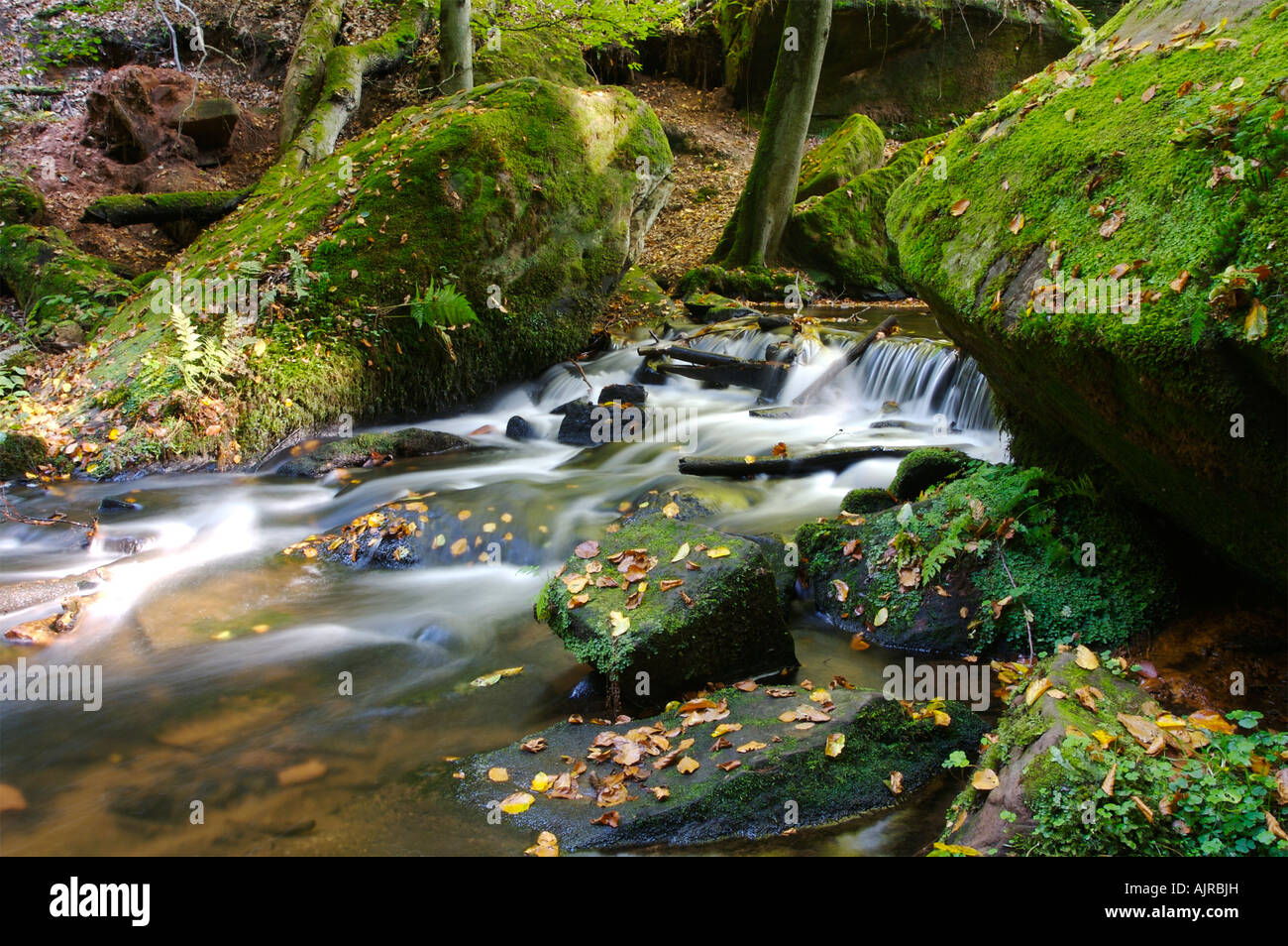 Brook run in autumn into a german forest Stock Photo - Alamy
