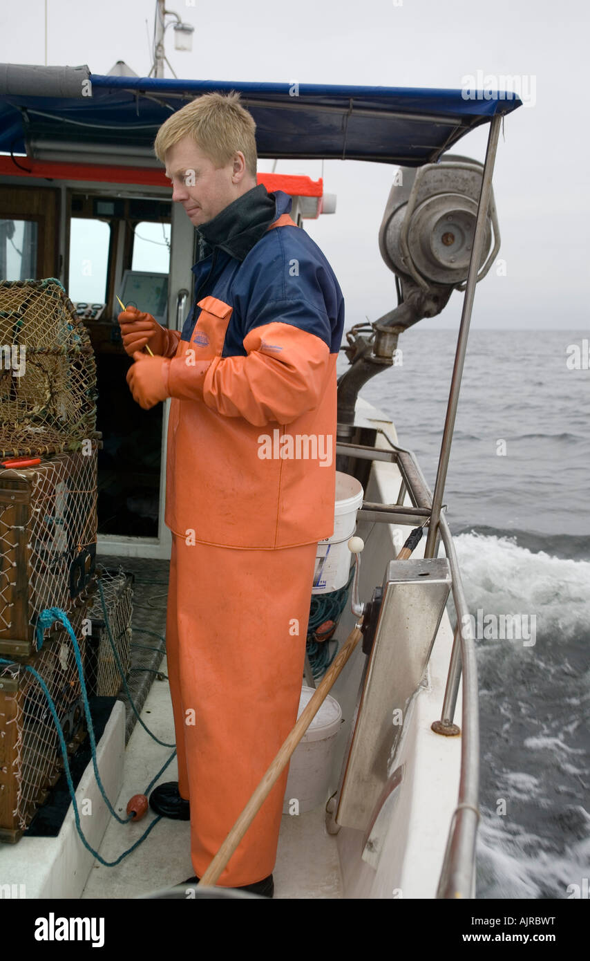 Lobster traps sea boat swedish fisherman fishing seafood hi-res stock ...