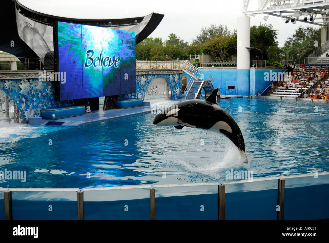 Seaworld orlando shamu hi-res stock photography and images - Alamy