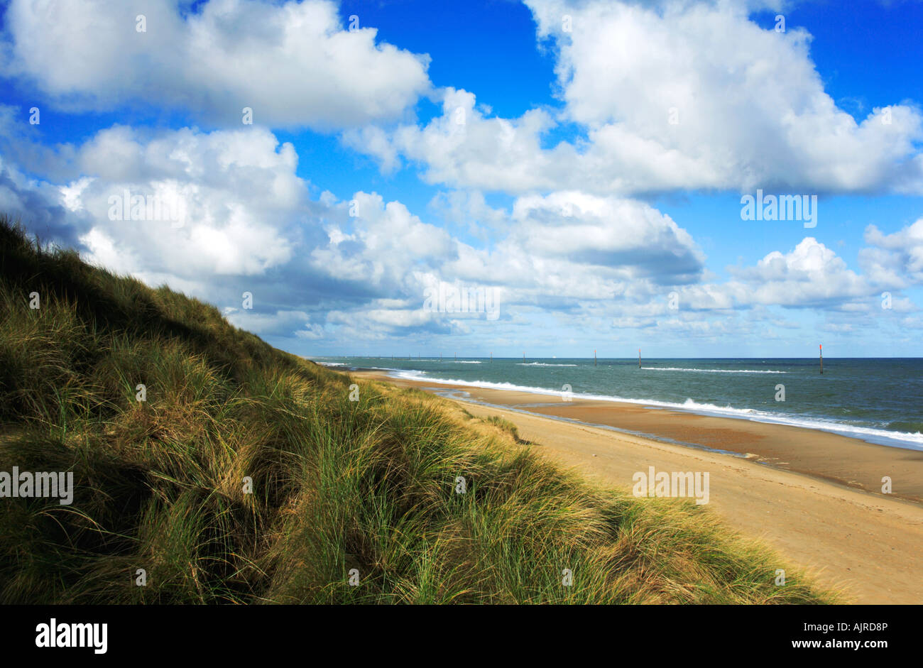 View from dunes at Waxham, Norfolk, UK, looking northwards over the ...