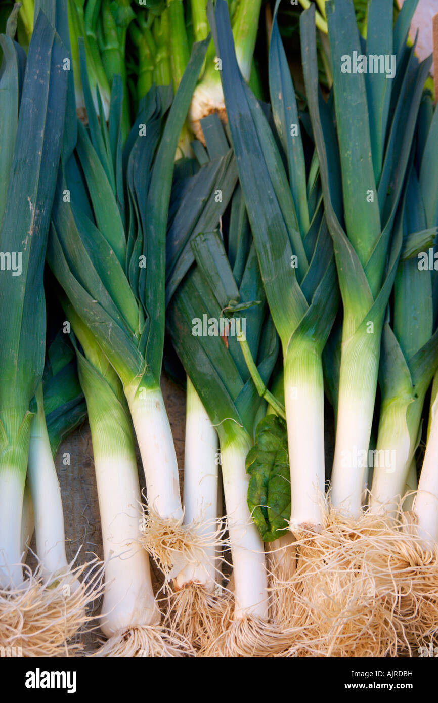 spring onions for sale on a french market Stock Photo - Alamy