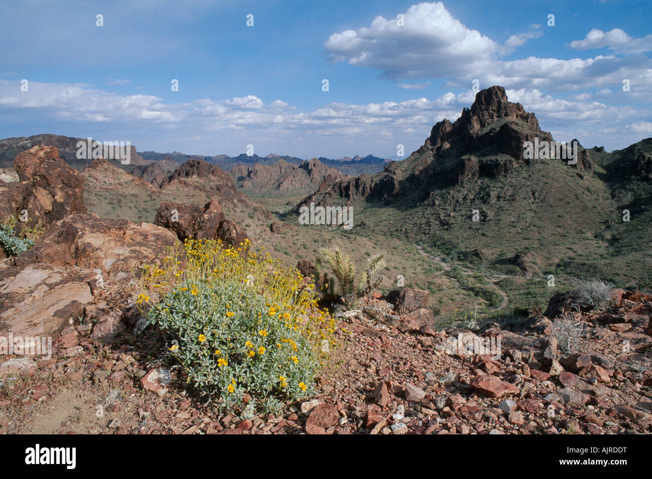 Castle Dome Mountains Stock Photo - Alamy