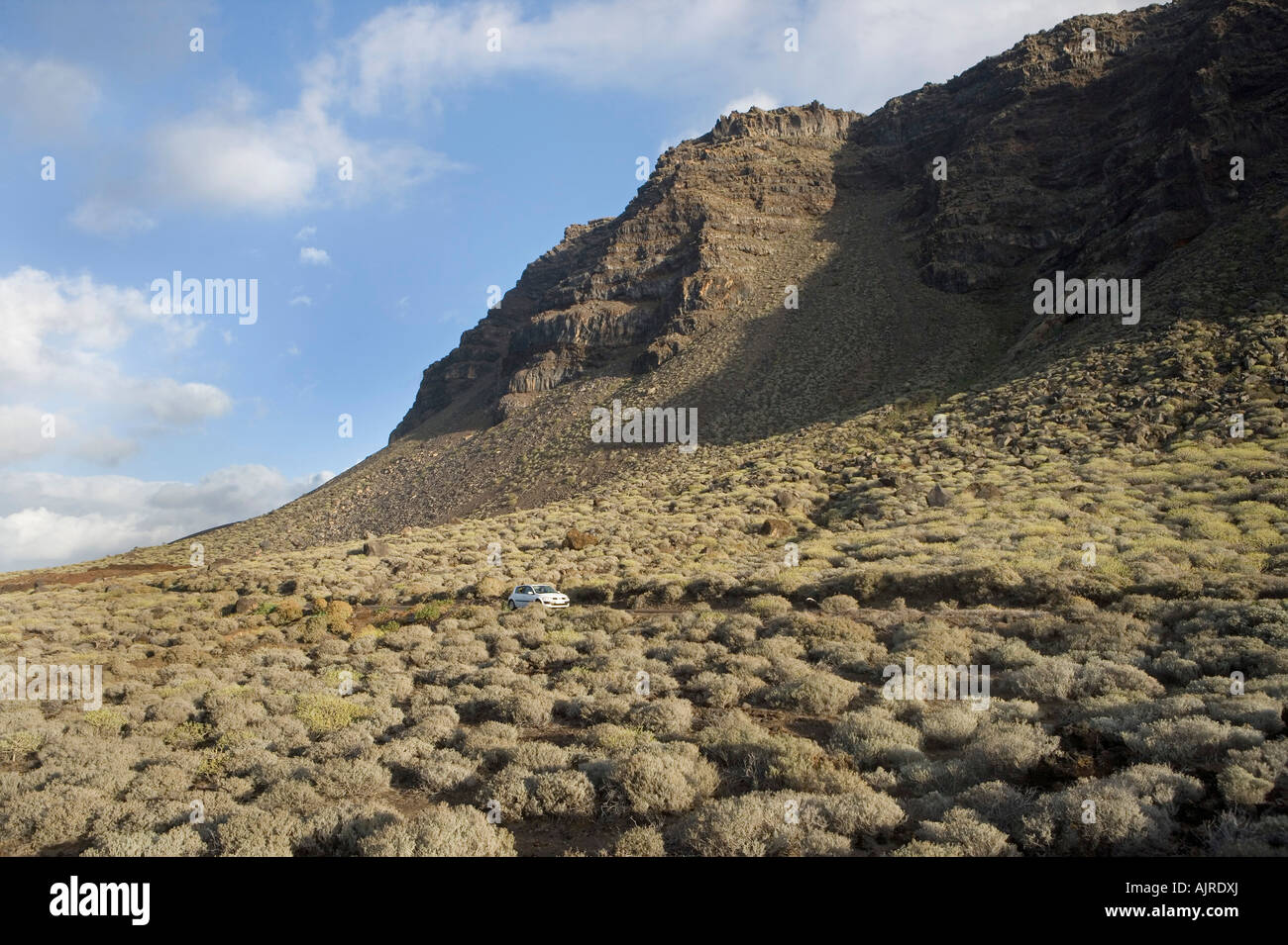Spain, Canary Islands, El Hierro, View of a typical landscape with ...