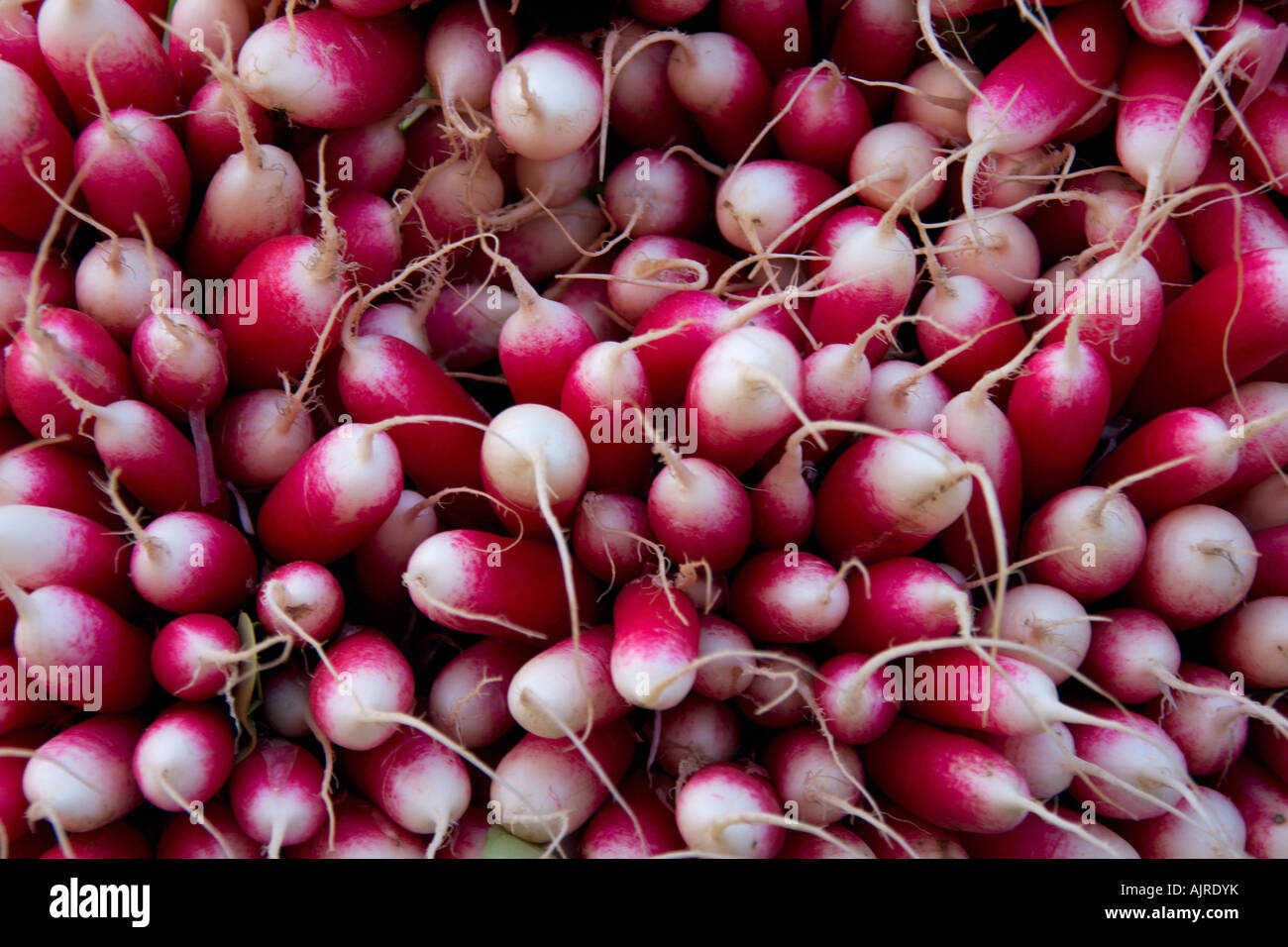 Crunchy radish hi-res stock photography and images - Alamy