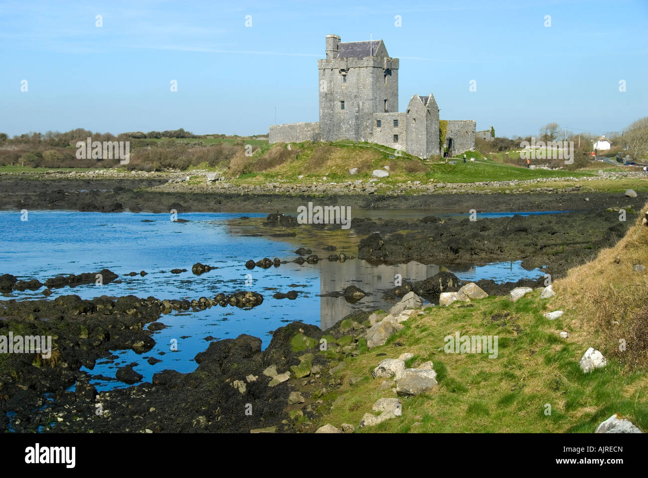 Dunguaire Castle, Kinvarra, County Galway, Ireland Stock Photo - Alamy