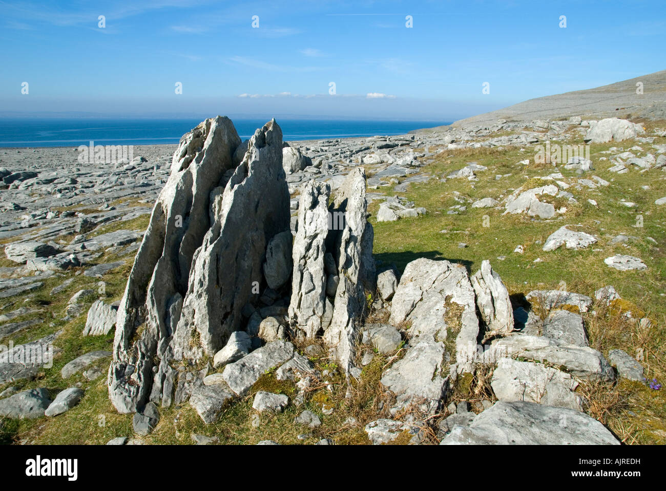 Limestone pavement at the Burren, County Clare, Ireland Stock Photo - Alamy