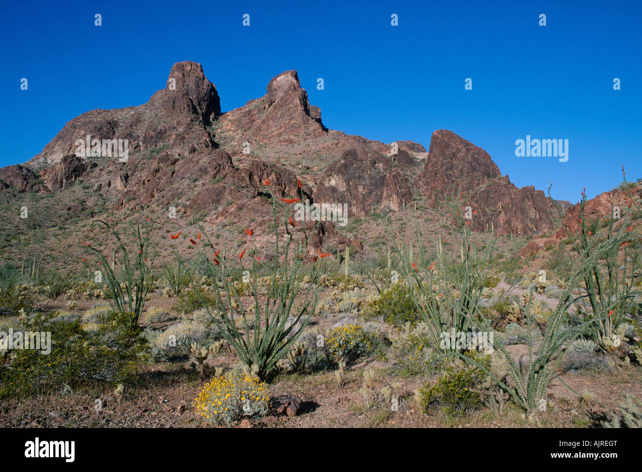 Castle Dome Mountains Stock Photo - Alamy