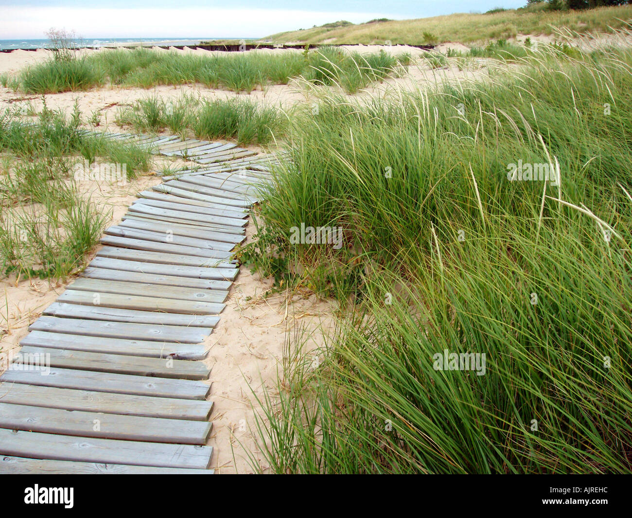 See thru back board hi-res stock photography and images - Alamy