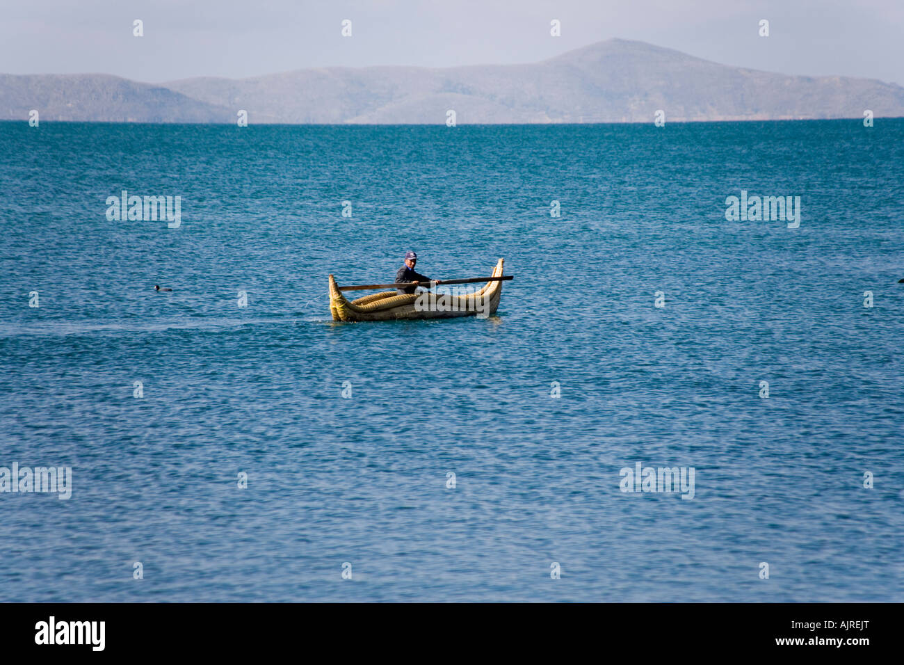 Aymara man in a reed boat on Lake Titicaca, Bolivia Stock Photo - Alamy