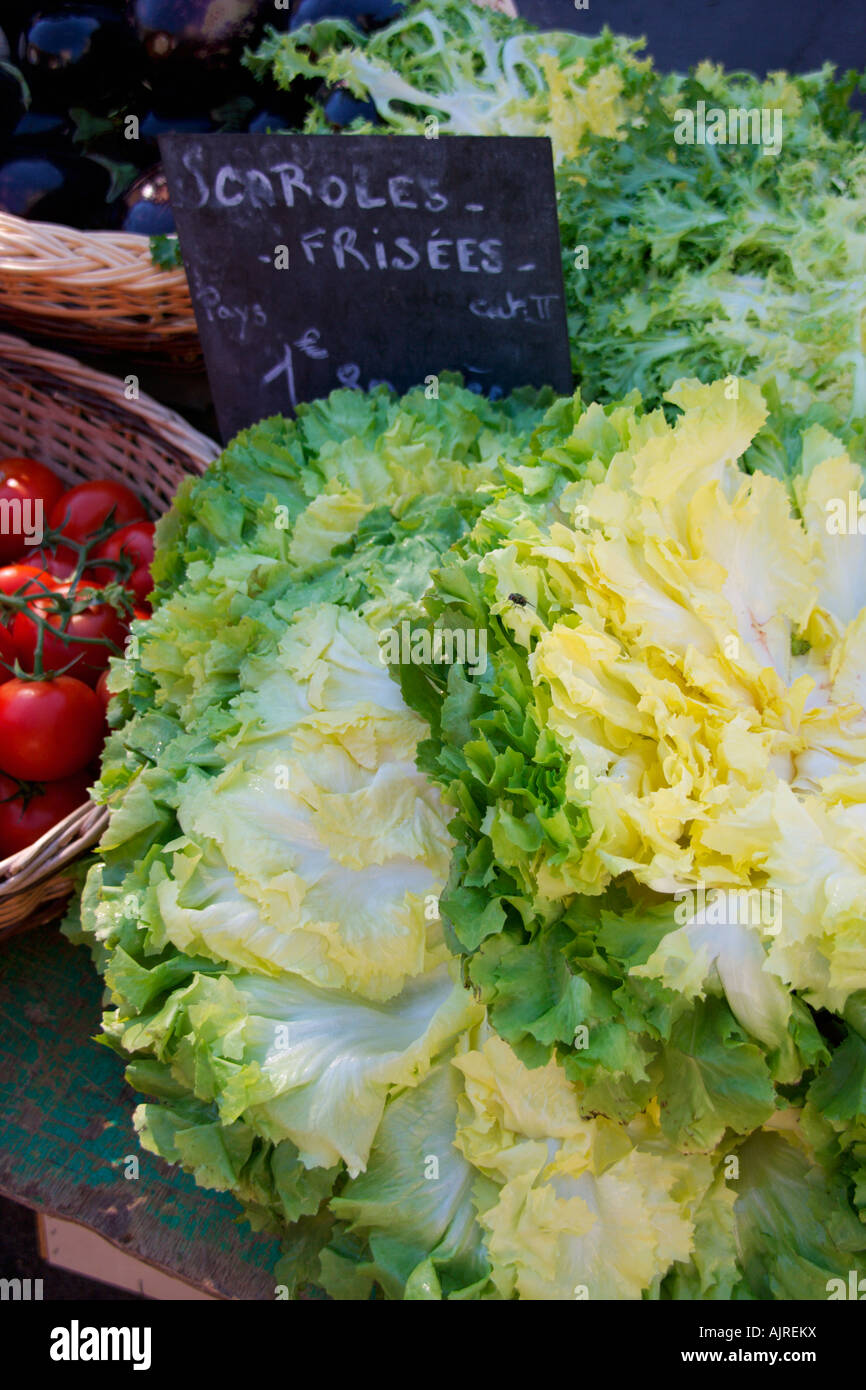 Frisees lettuce for sale on a typical French Market in the Languedoc ...