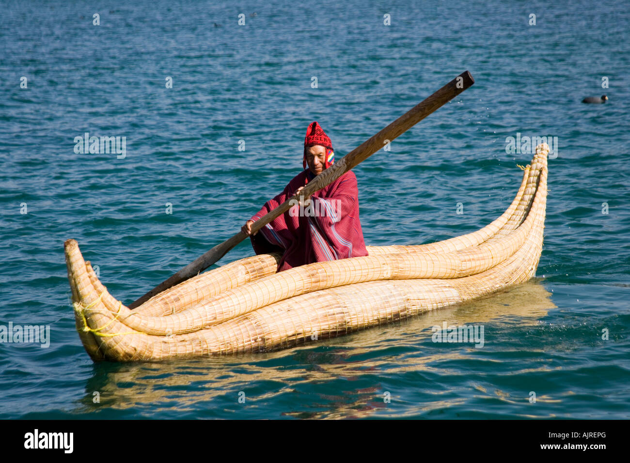 Aymara man in a reed boat on Lake Titicaca, Bolivia Stock Photo - Alamy