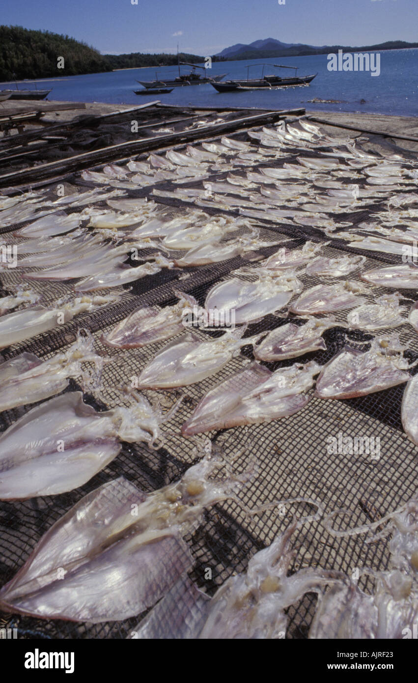 Squid racks hi-res stock photography and images - Alamy