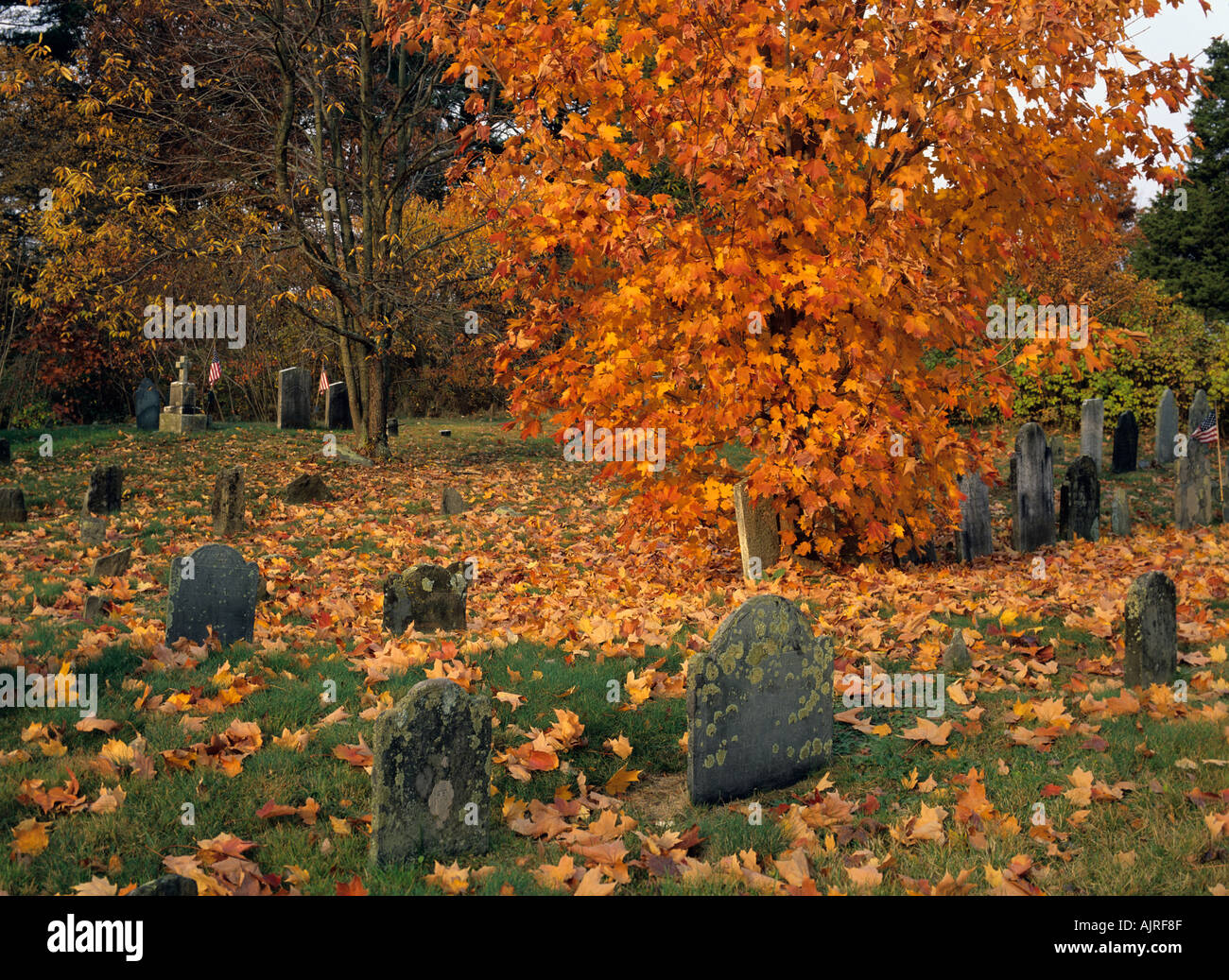 Autumn Foliage in a New England Graveyard Stock Photo - Alamy