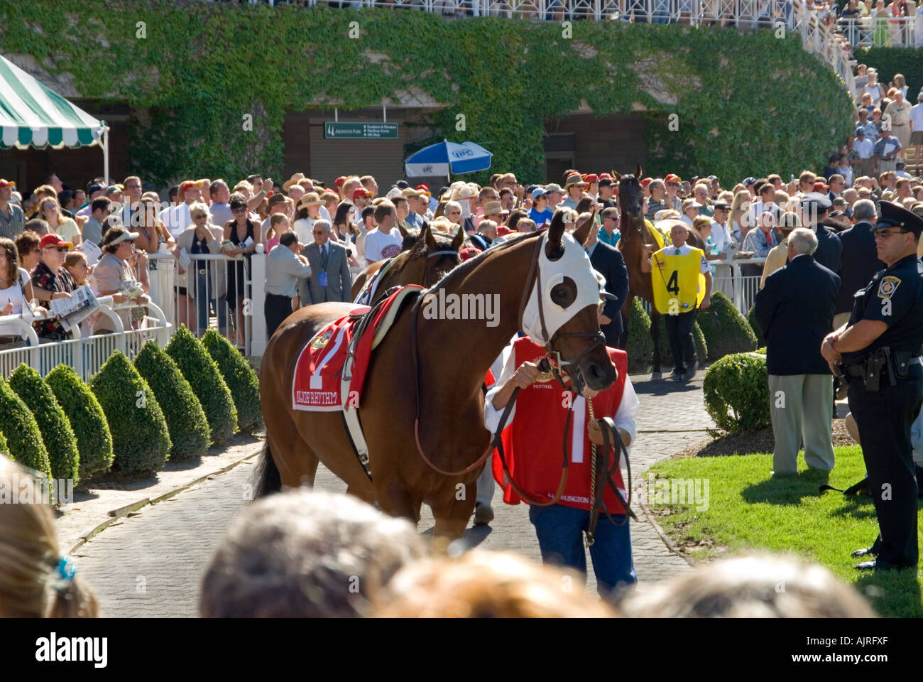 Horse Race Paddock Parade Stock Photo - Alamy