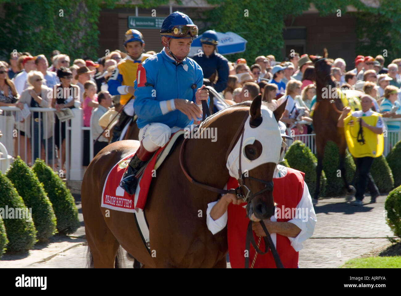 Horse Race Paddock Parade Stock Photo - Alamy