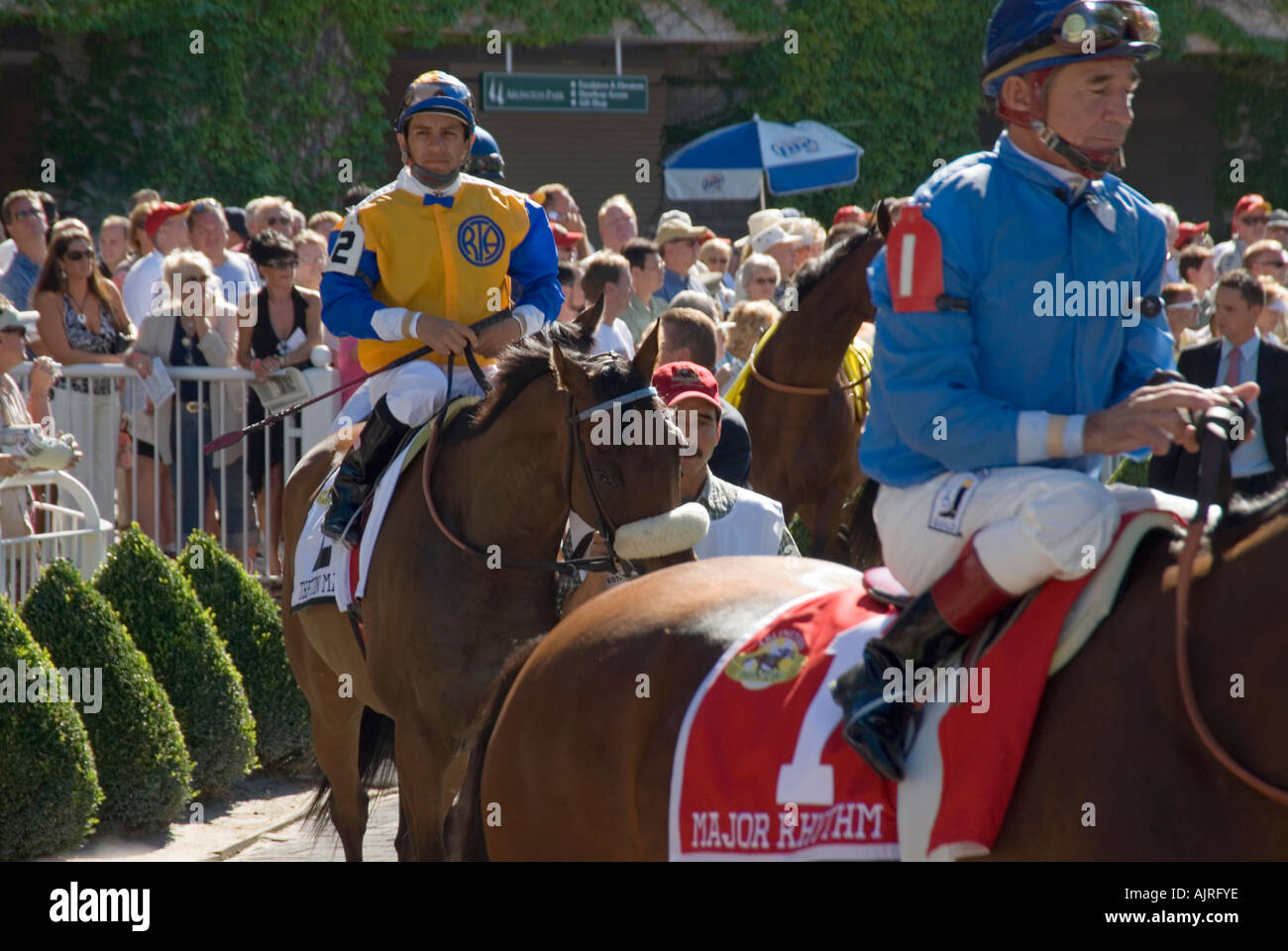 What Is The Paddock In Horse Racing at Susan Callahan blog