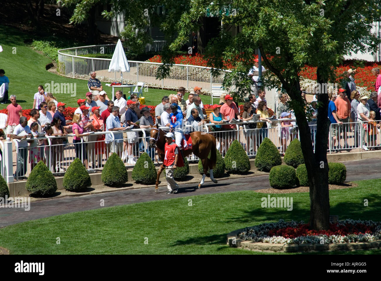 Arlington Park Paddock Area, Chicago, Illinois Stock Photo - Alamy