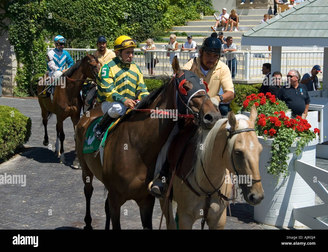 Horse parading show hi-res stock photography and images - Alamy