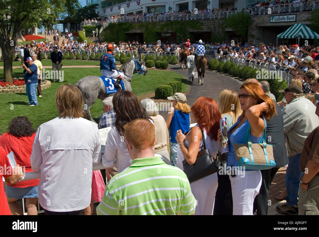 Horse Racing Paddock Area Stock Photo - Alamy