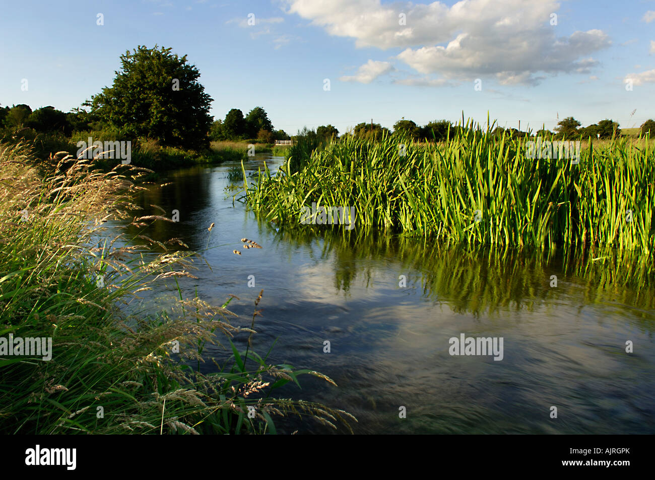 River Nar, Castle Acre, Norfolk Stock Photo - Alamy