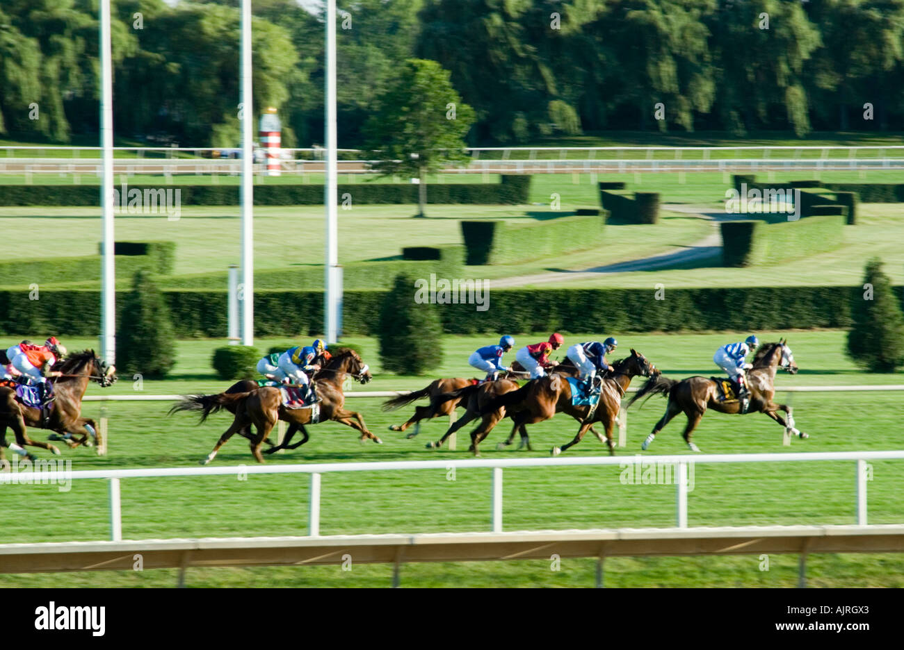 Turf bred hi-res stock photography and images - Alamy