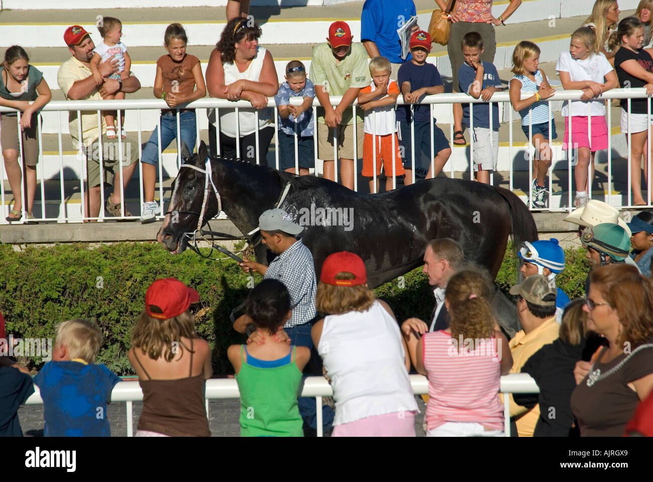 Young racing fans hi-res stock photography and images - Alamy